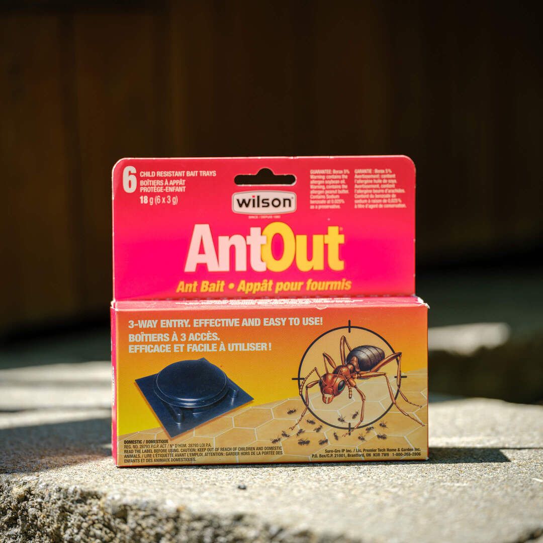 PIÈGE À FOURMIS BOITE APPAT 6X3 G