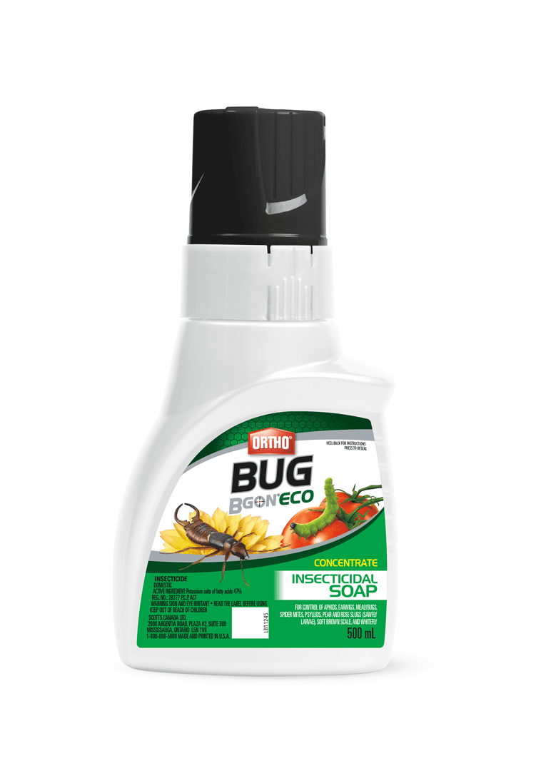 ORTHO BUG B GON ECO SAVON INSECTICIDE CONCENTRÉ 500ML