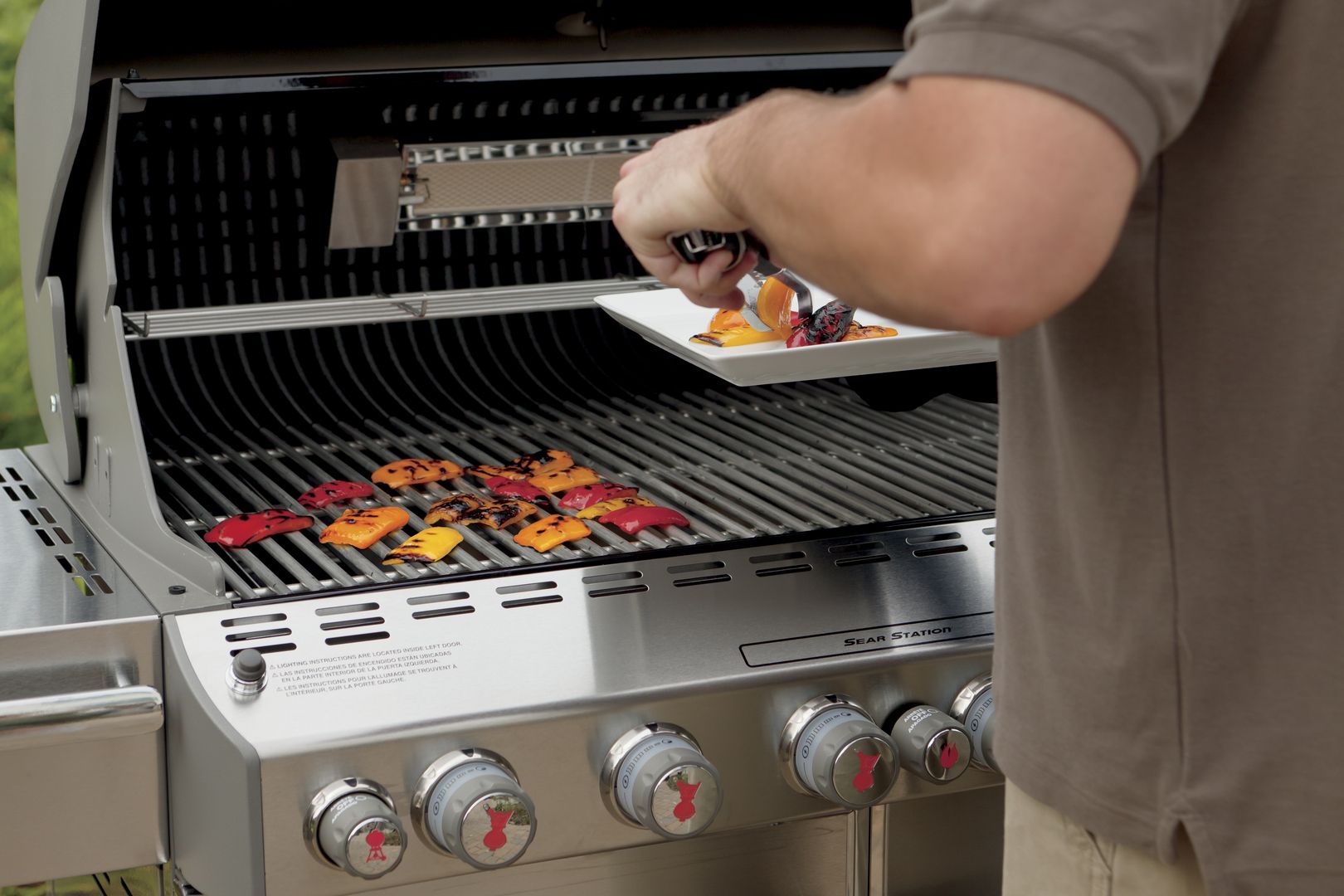 BARBECUE GAZ SUMMIT E-670 PROPANE INOX