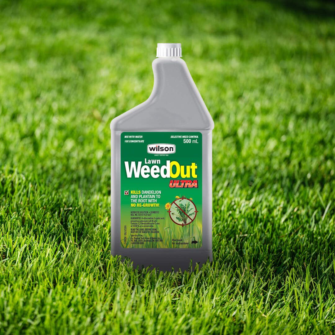 WEEDOUT ULTRA CONCENTRATED BATTERY HERBICIDE 500 ML