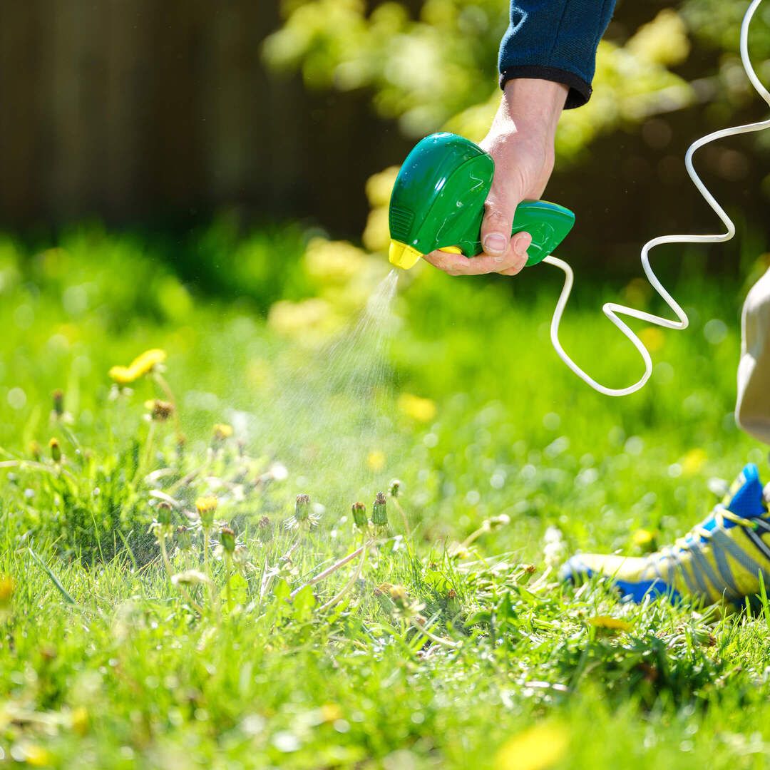 WEEDOUT ULTRA CONCENTRATED BATTERY HERBICIDE 500 ML