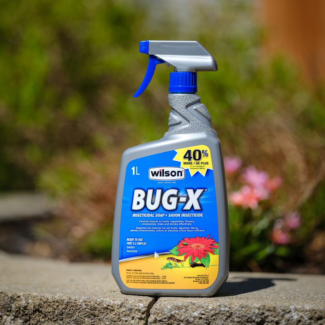 INSECTICIDE BUG-X PRÊT À L'EMPLOI 1 L
